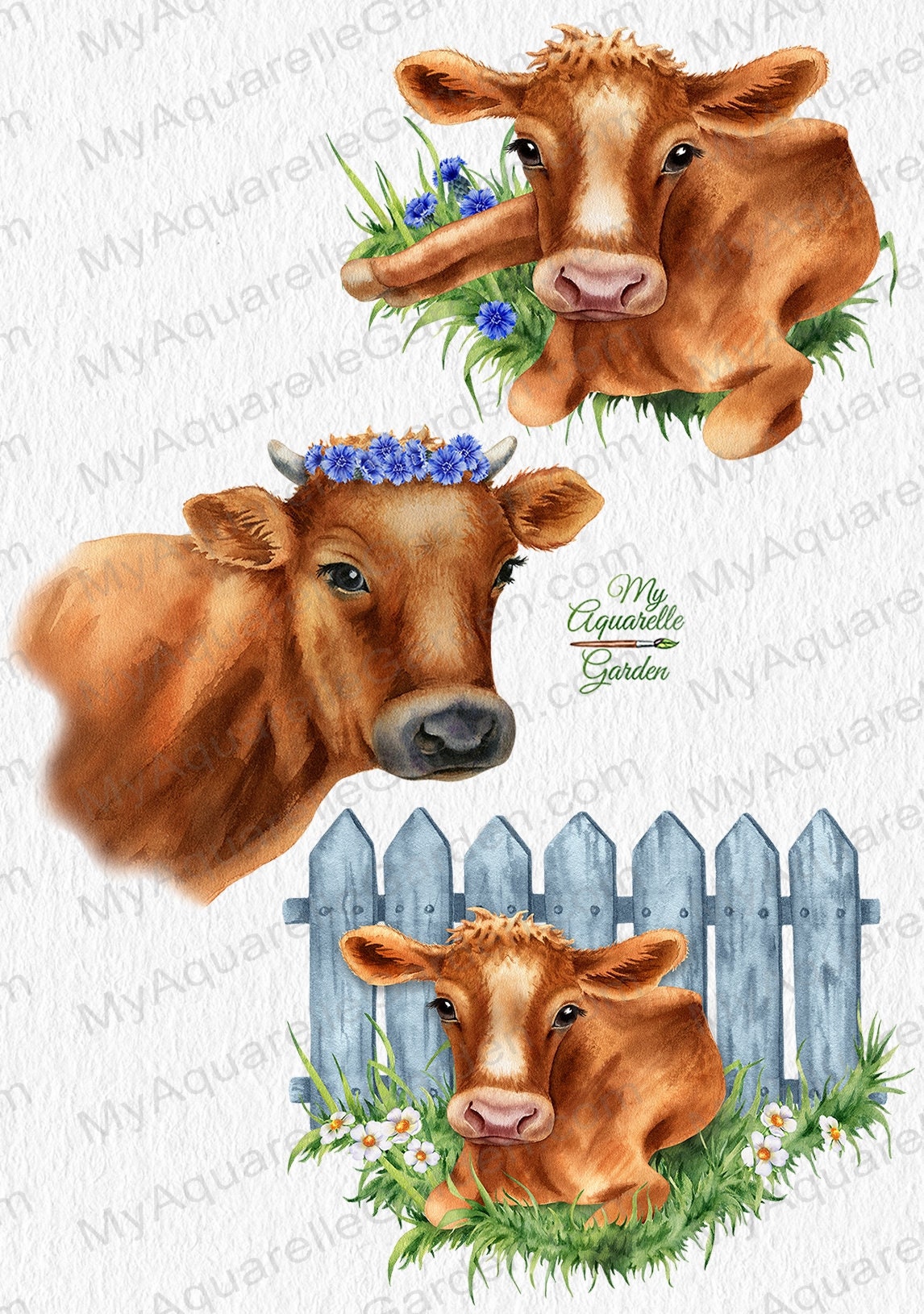 Milk Farm Clipart. Cow, Calf. Watercolor Hand-painted Images. Rustic ...