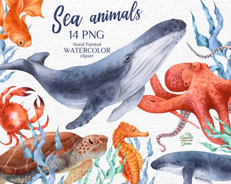 Sea Animals. Under the Sea. Watercolor Clipart. Whale, Crab, Goldfish ...