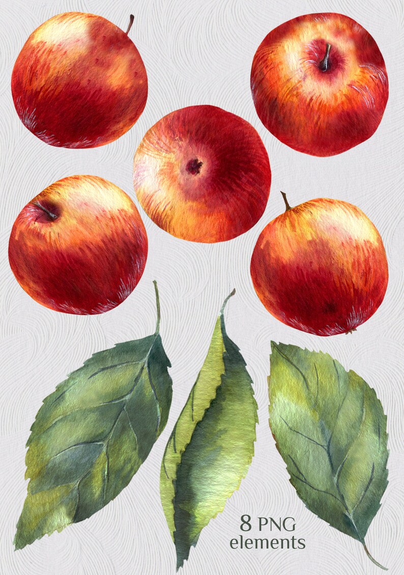 Apples Watercolor Hand-painted Clipart Harvesting Botanical ...