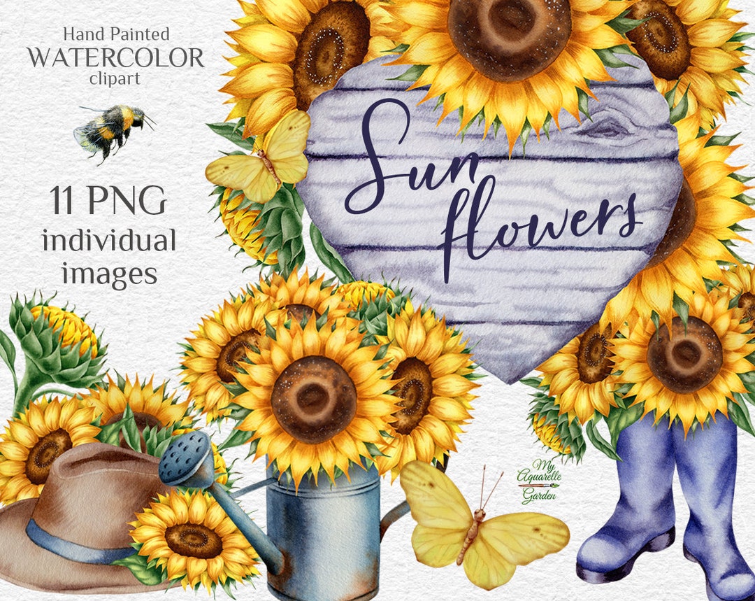 Sunflowers Gardening Farmhouse Clipart Watercolor Hand-painted ...