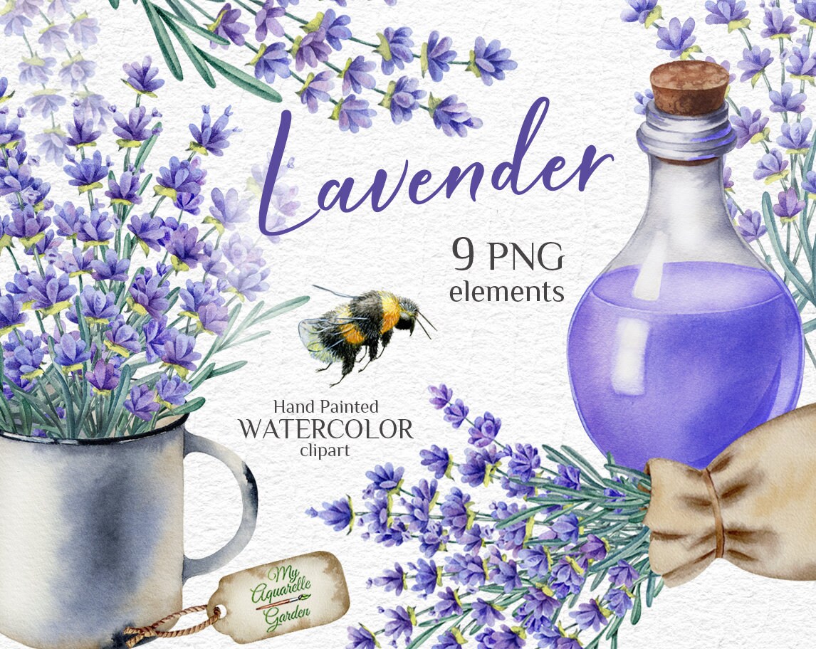 Lavender Watercolor Clipart. provencal Rustic Style. Herbal Hand ...
