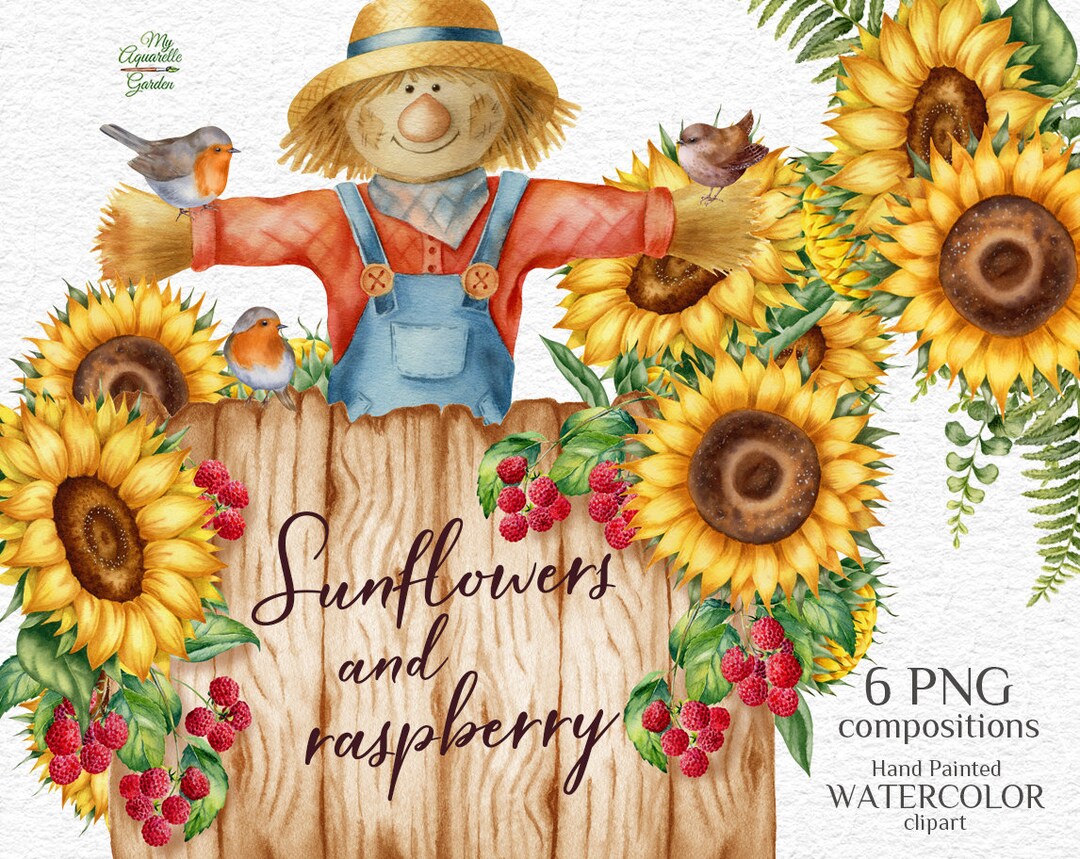 Gardening Farmhouse Clipart. Scarecrow, Sunflowers, Raspberry, Fence ...
