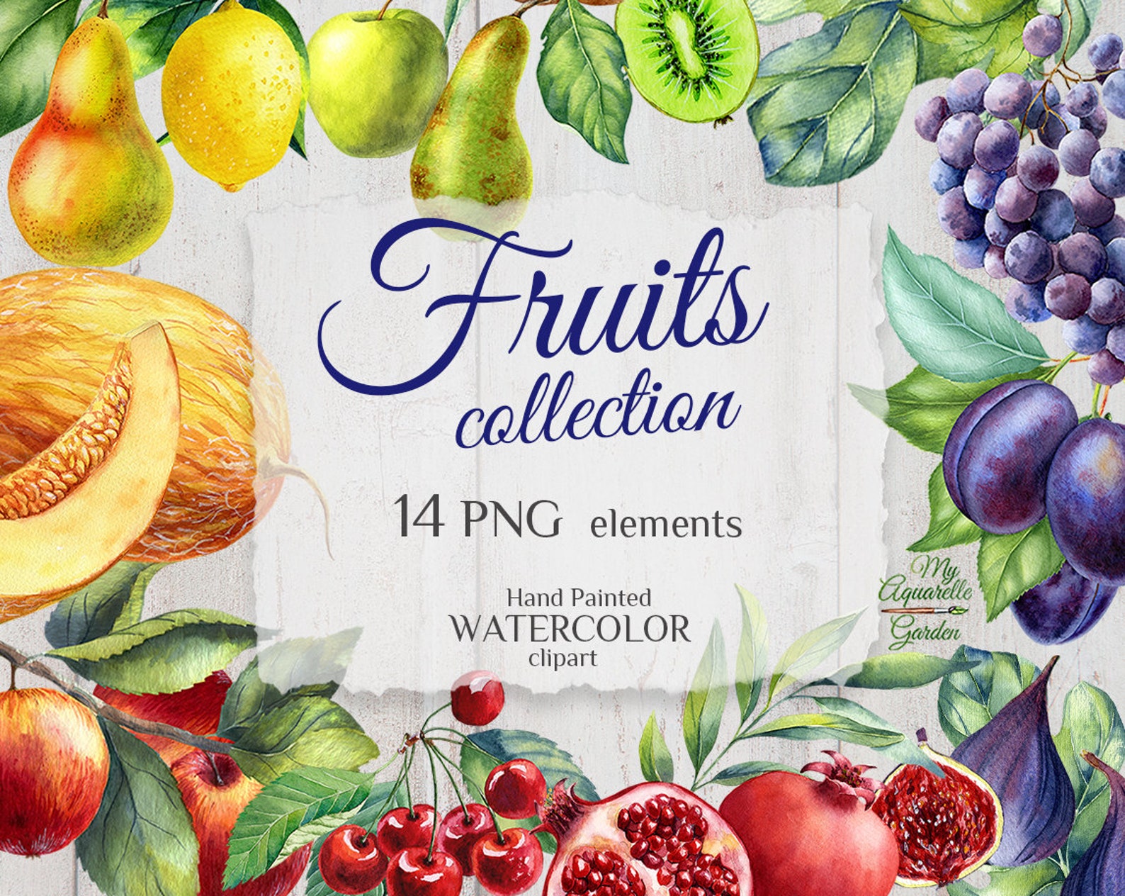 Fruits Clipart. Watercolor Botanical Illustrations for Commercial Use ...