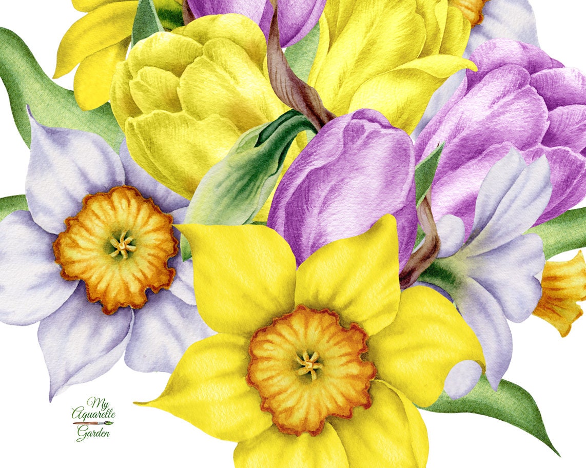 Daffodils and Tulips. Spring Flowers Bouquets and Garlands. Botanical ...