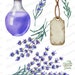 Lavender Watercolor Clipart. provencal Rustic Style. Herbal Hand ...