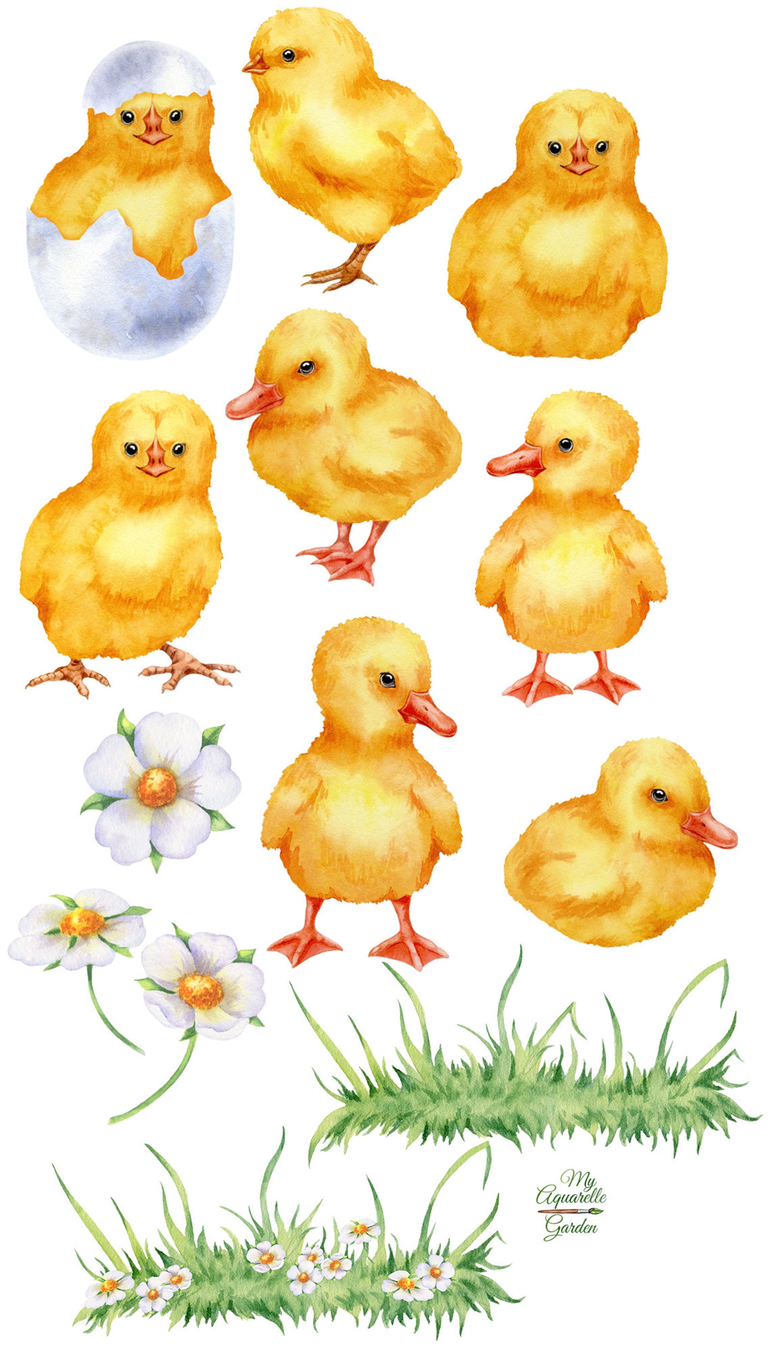 Spring Chickens and Ducklings. Watercolor Easter Clipart. Little Birds ...