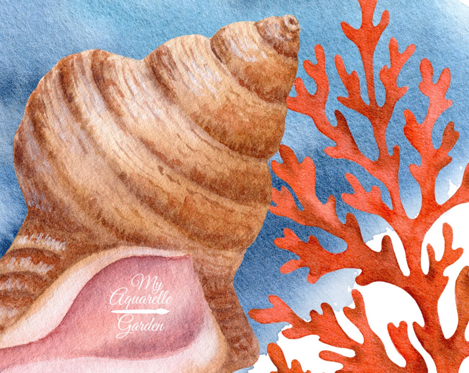 Ocean Creatures. Under the Sea. Corals, Seashells, Starfishesl ...