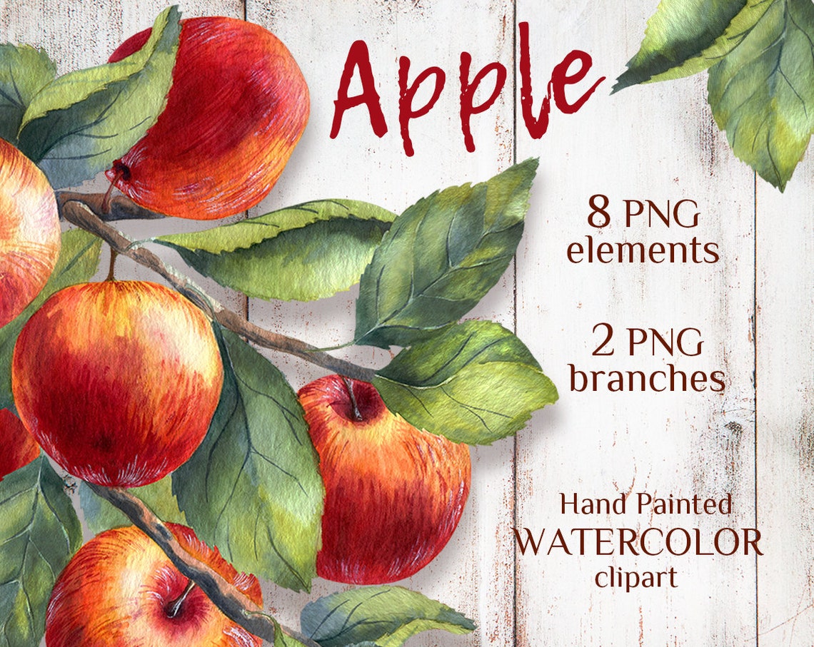 Apples Watercolor Hand-painted Clipart Harvesting Botanical ...