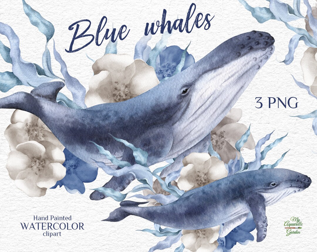 Blue Whales. Under the Sea. Watercolor Hand-painted Clipart. Nautical ...