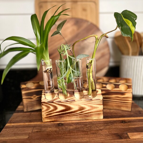 Test Tube Planter - Etsy