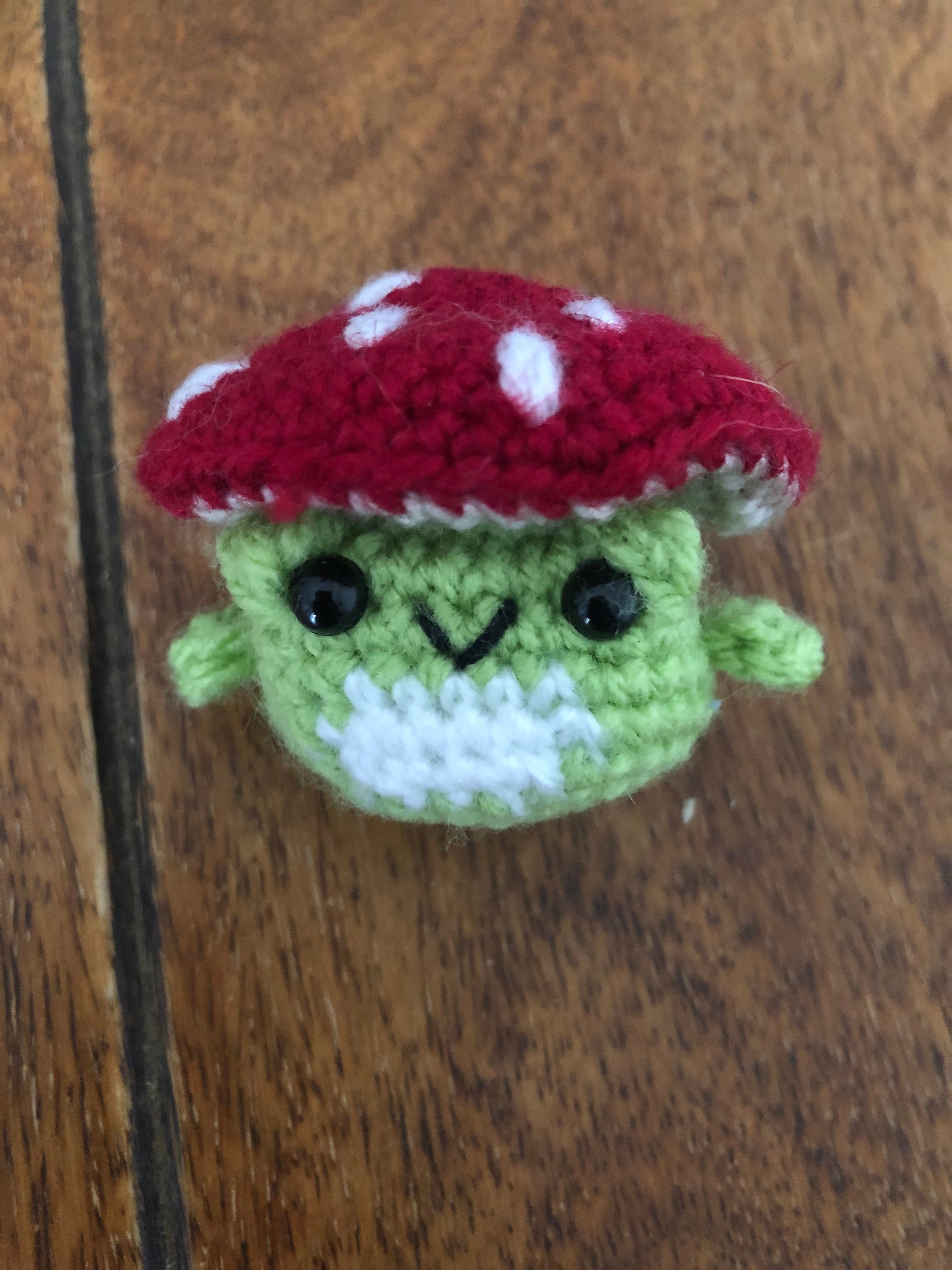 Crochet Crushy Mushy Frog Fidget Toy - Etsy