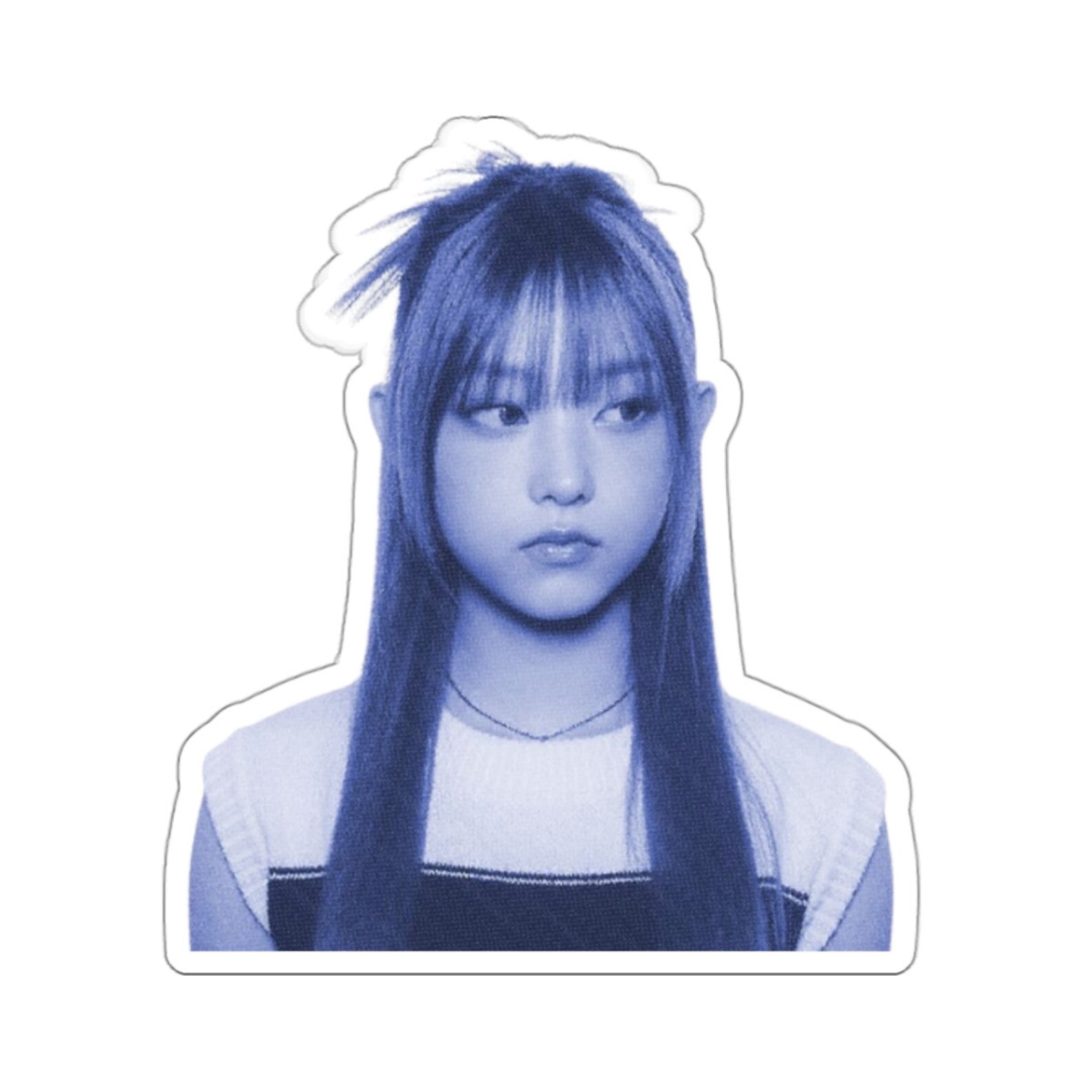 1x Nostalgic K-pop Y2K Stickers Water Bottle Stickers Girl Group ...