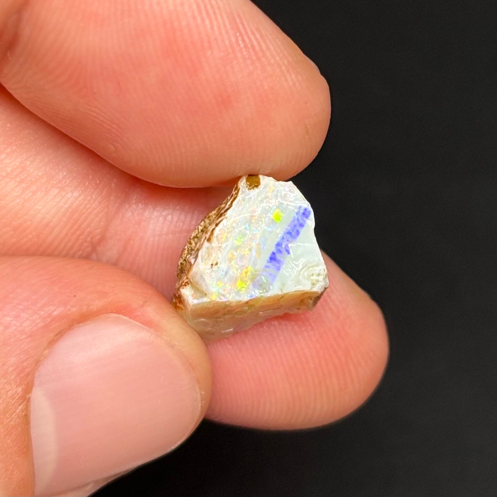 Very Colorful Zebra Striped Lambina Opal Specimen With Multicolored ...