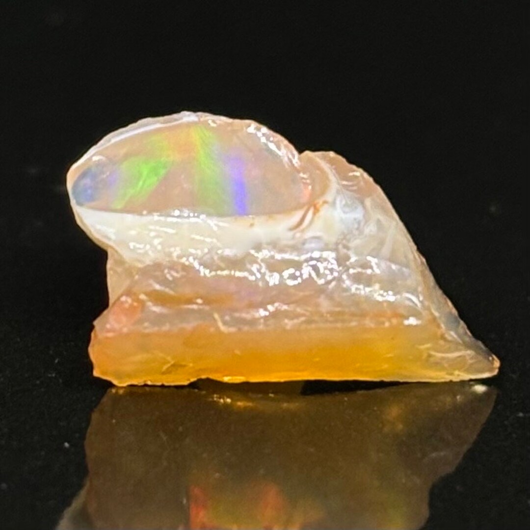 Mexican Fire Opal Snail Specimen With A Beautiful Head of Colors for ...