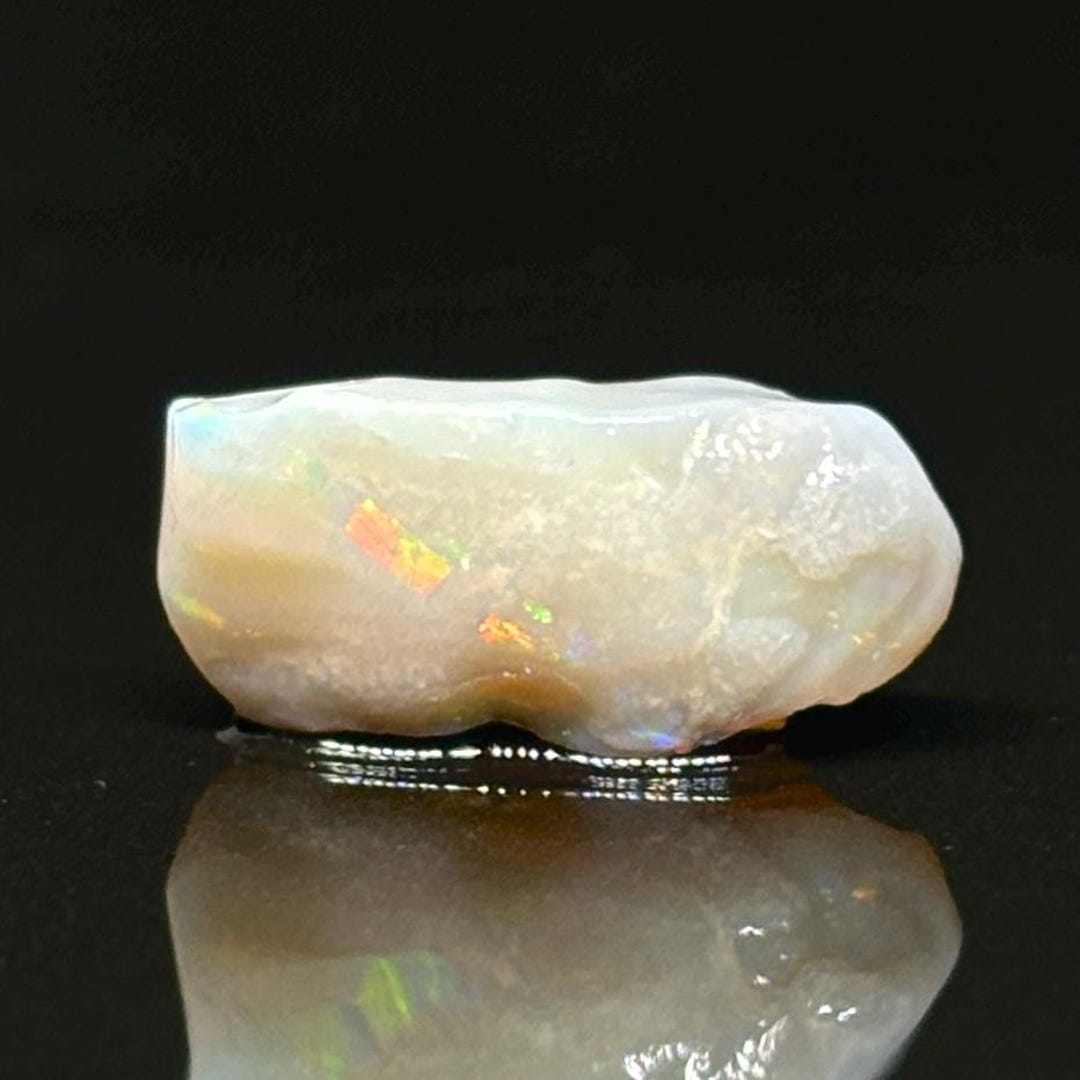 Opalized Fossil Clam Shell Australian Coober Pedy Specimen Mineral - Etsy