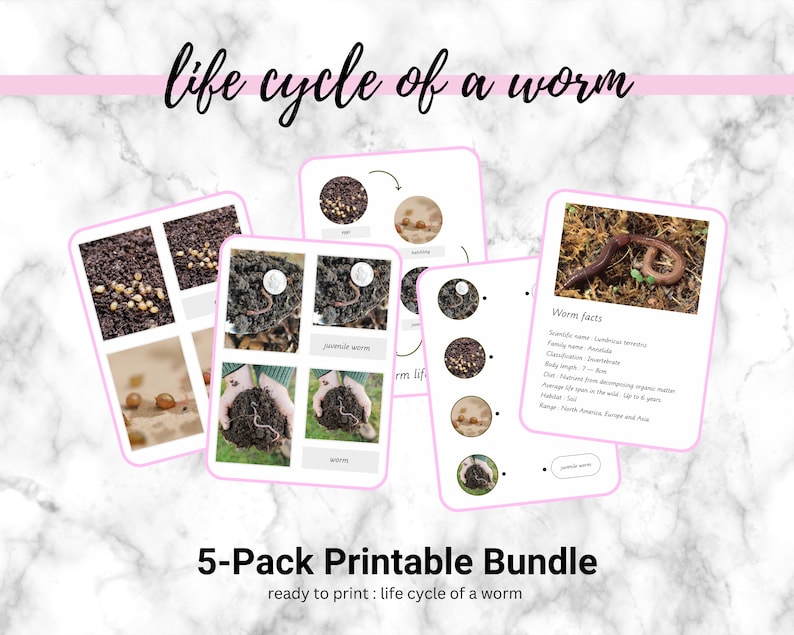 Life Cycle of a Worm. 5 Montessori Cards. Nomenclature Flashcard. Life ...