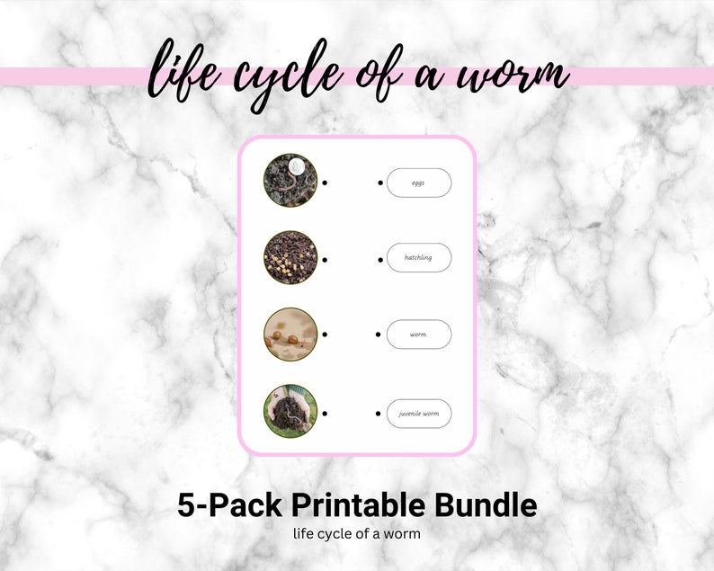 Life Cycle of a Worm. 5 Montessori Cards. Nomenclature Flashcard. Life ...