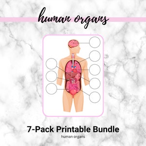 Human Organs (UPDATED). Montessori Cards. Nomenclature Flashcard. Human ...