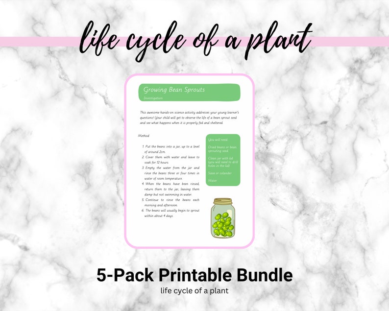 Life Cycle of a Plant. 5 Montessori Cards. Nomenclature Flashcard. Life ...