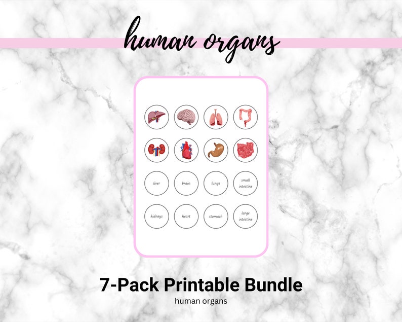 Human Organs (UPDATED). Montessori Cards. Nomenclature Flashcard. Human ...