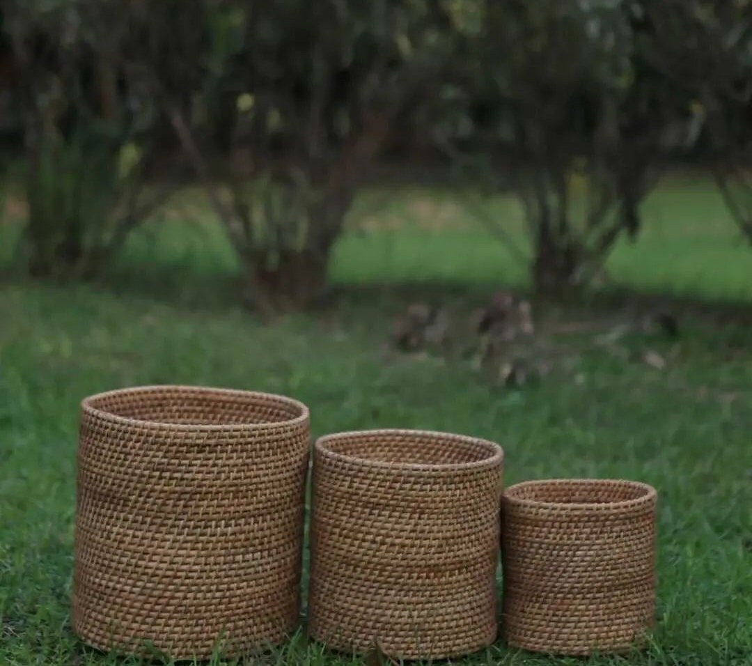 Cane Planters - Etsy