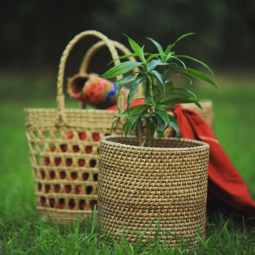 Cane Planters - Etsy