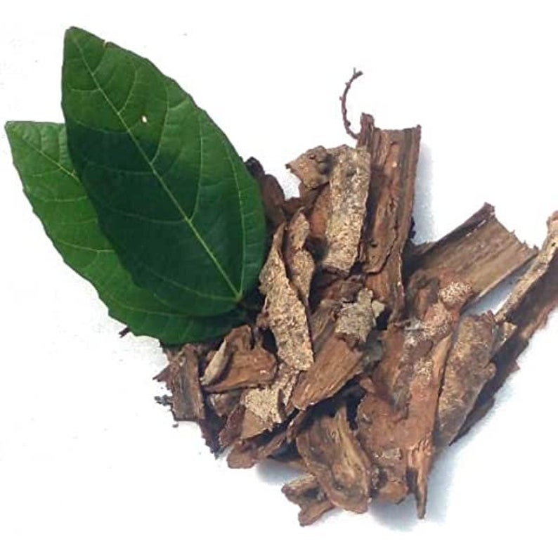 Dry Gular Bark and Powder Ficus Racemosa Powder Gular Chhal - Etsy