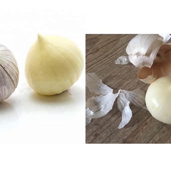 Solo Garlic - Etsy