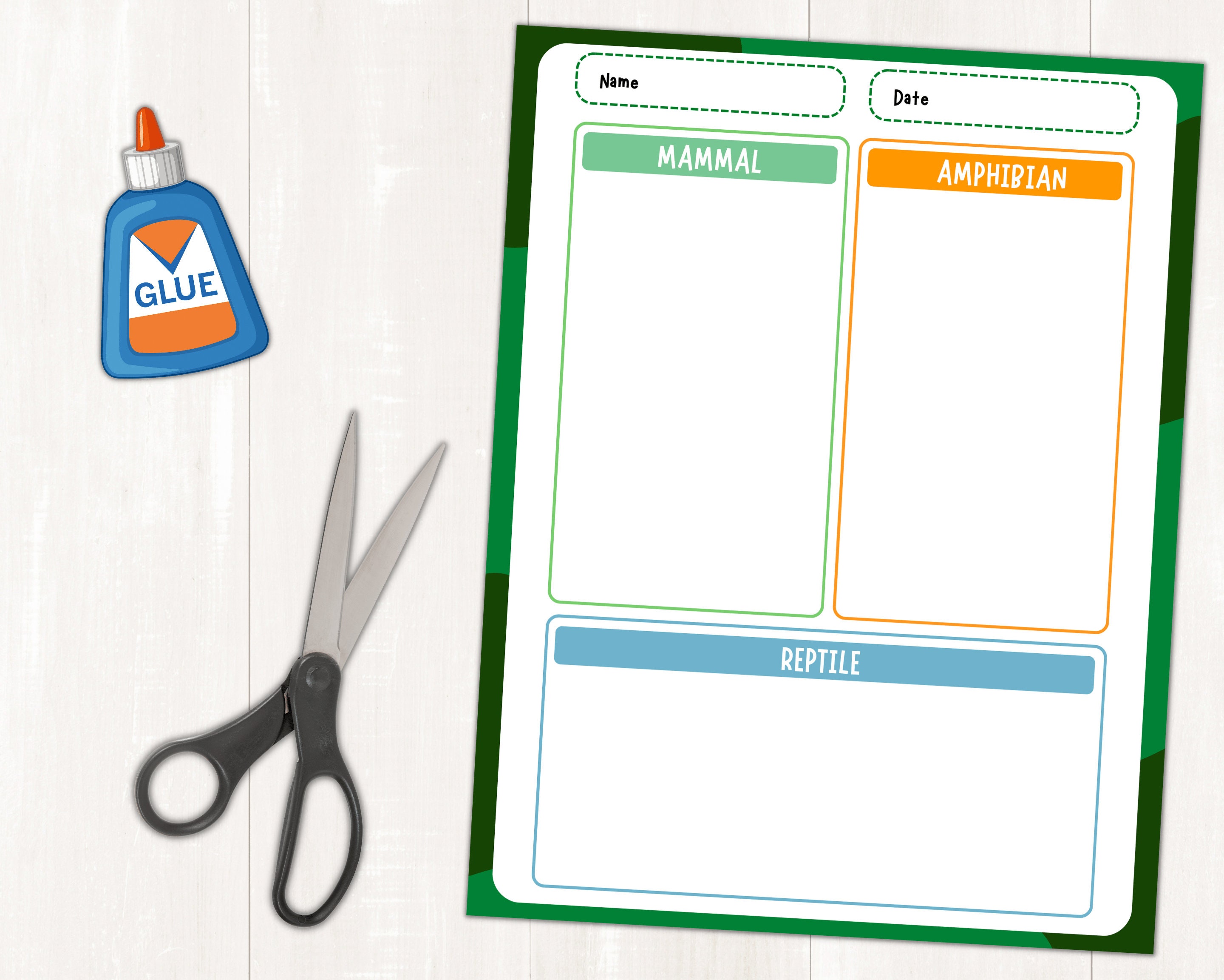 Animal Classification Sort: Mammals, Reptiles, and Amphibians | Sort ...