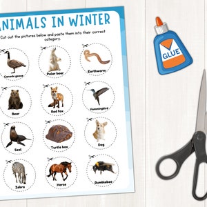 Animals in Winter: Hibernate, Migrate, and Adapt | Animals Sorting ...