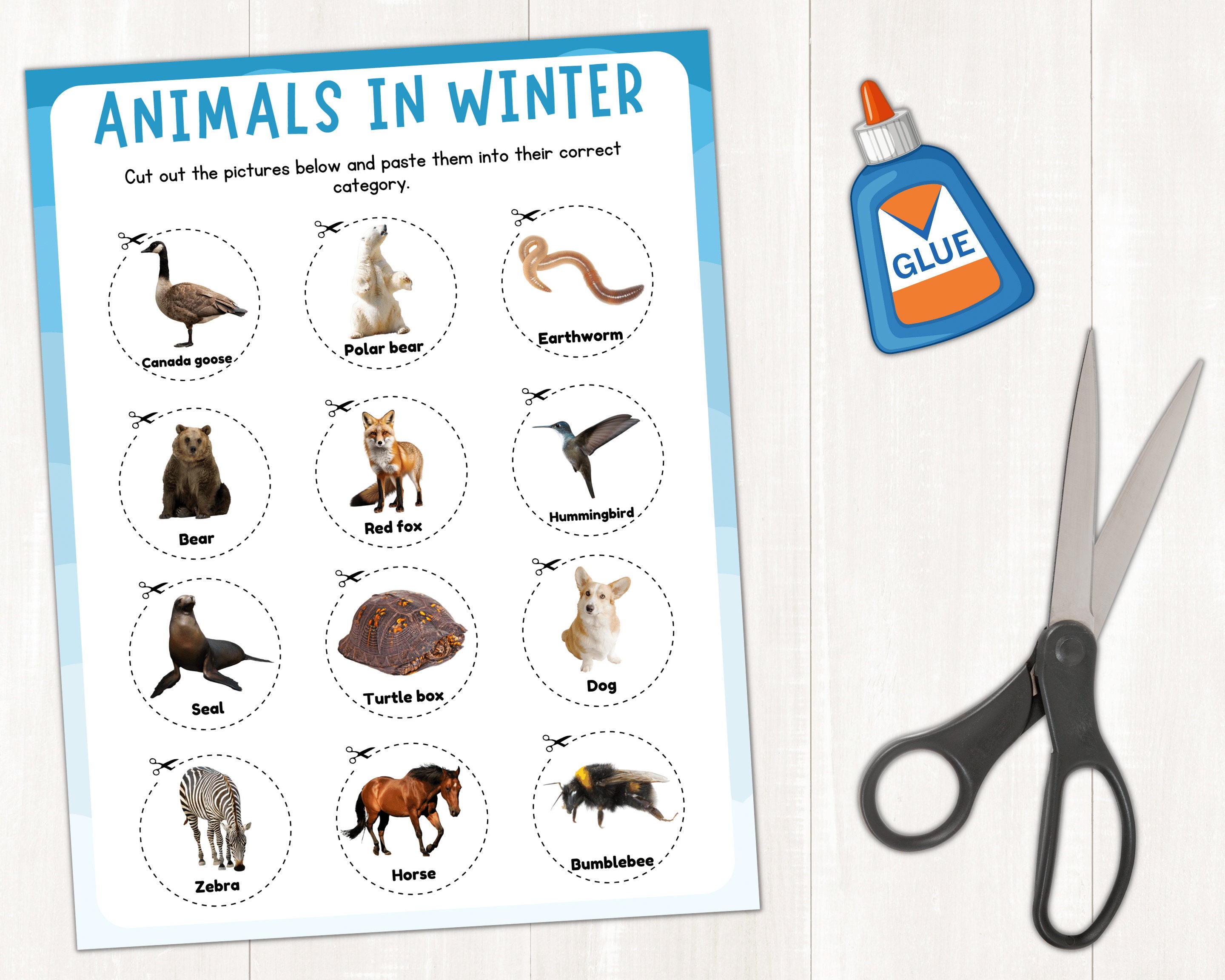 Animals in Winter: Hibernate, Migrate, and Adapt Animals Sorting ...