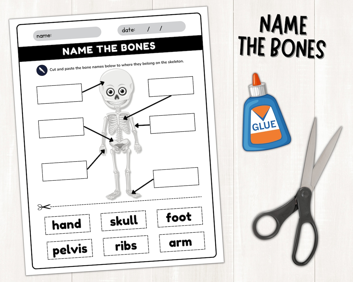 Printable Human Skeleton Labelling Worksheets Label the Bones Activity ...