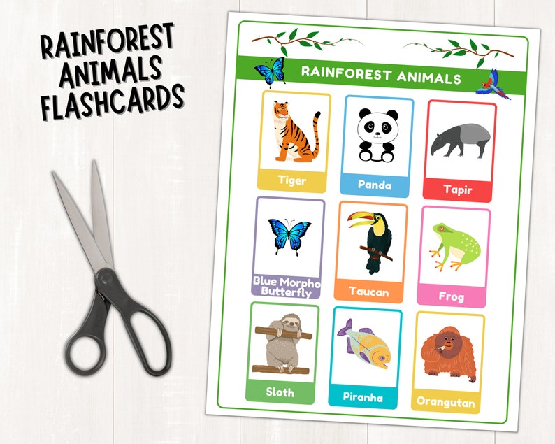 All About the Rainforest Habitat | the Rainforest Fact File ...