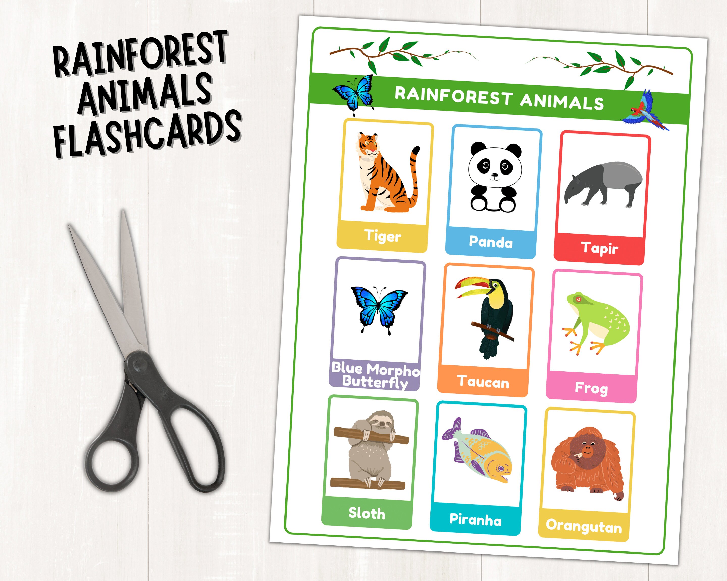 All About the Rainforest Habitat | the Rainforest Fact File ...