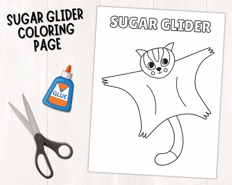 Printable Sugar Glider Craft for Kids | Australian Nocturnal Animal ...