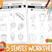 My Five Senses Activities Worksheets, 5 Senses Coloring Sheets ...