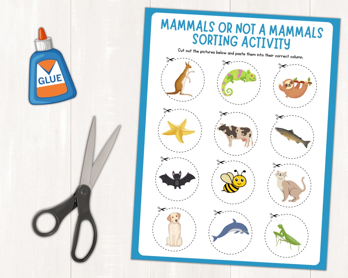 Mammal Vs. Not a Mammal Picture Sort Animals Sorting Activity Animal ...