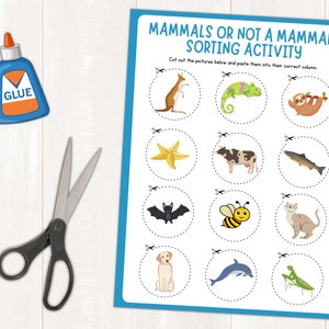 Mammal Vs. Not a Mammal Picture Sort | Animals Sorting Activity ...