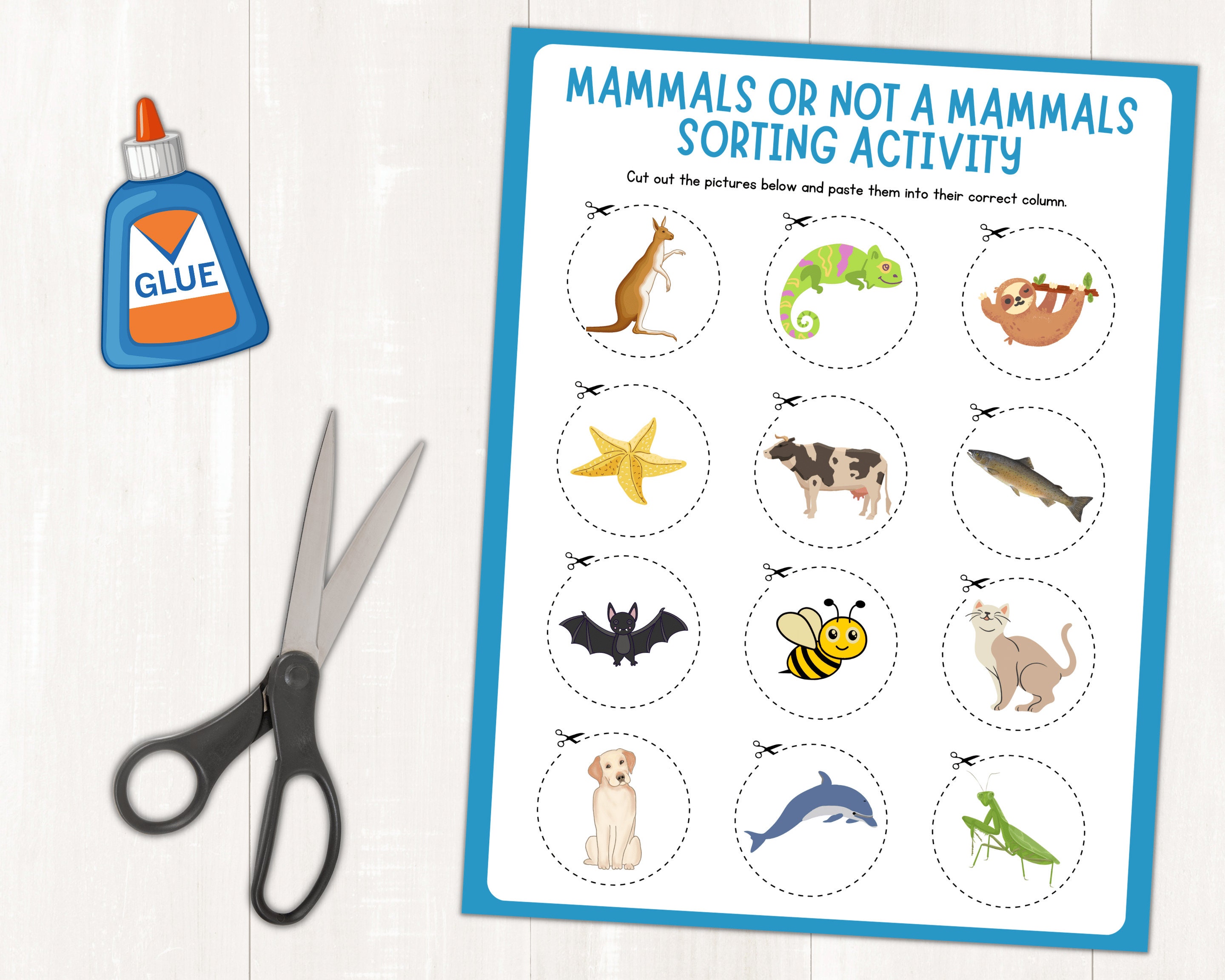 Mammal Vs. Not a Mammal Picture Sort | Animals Sorting Activity ...