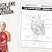 Human Heart Parts Labeling Worksheet | Anatomy of the Heart | Parts of ...