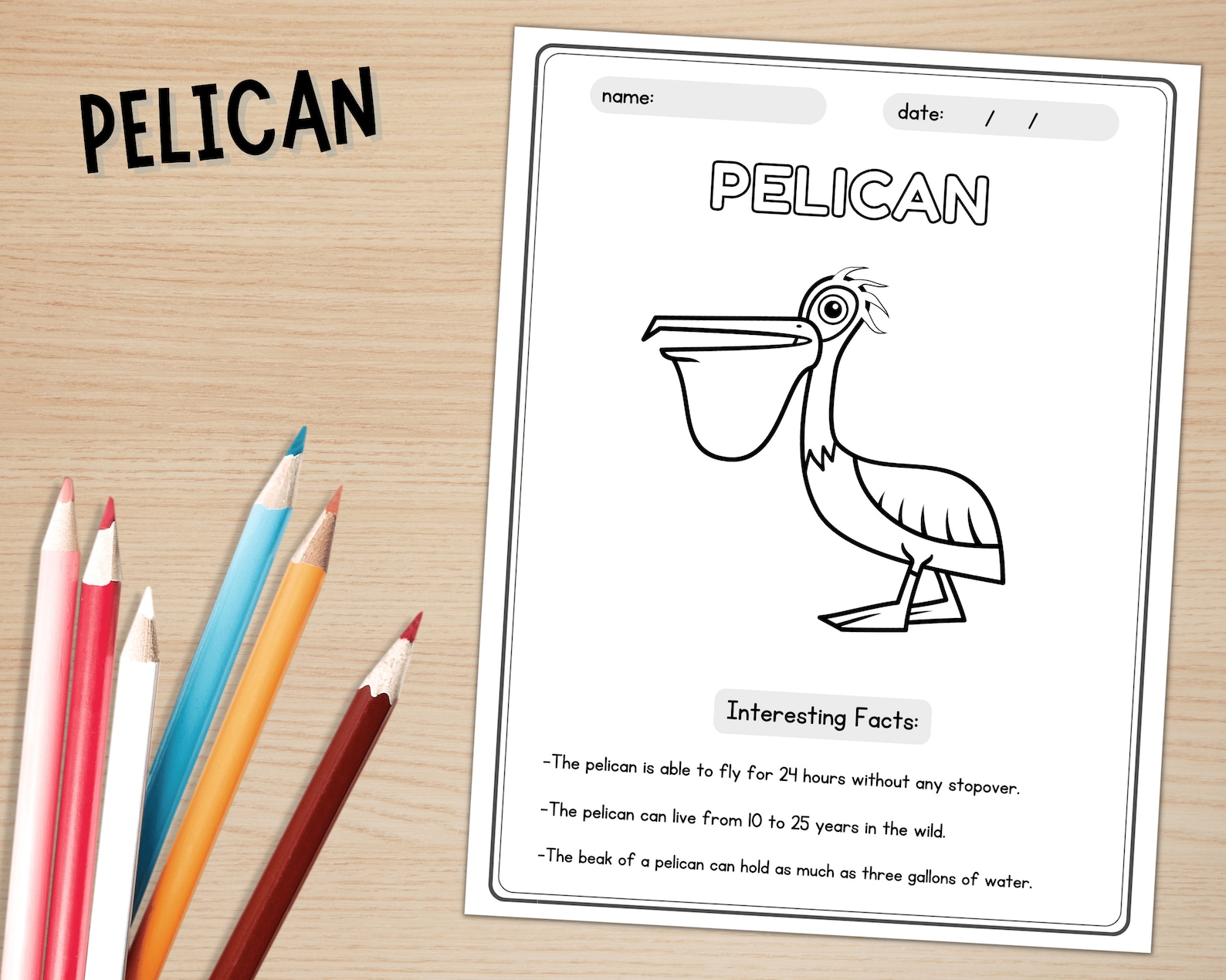 Printable Birds Coloring Pages With Interesting Facts, Flying Animals ...