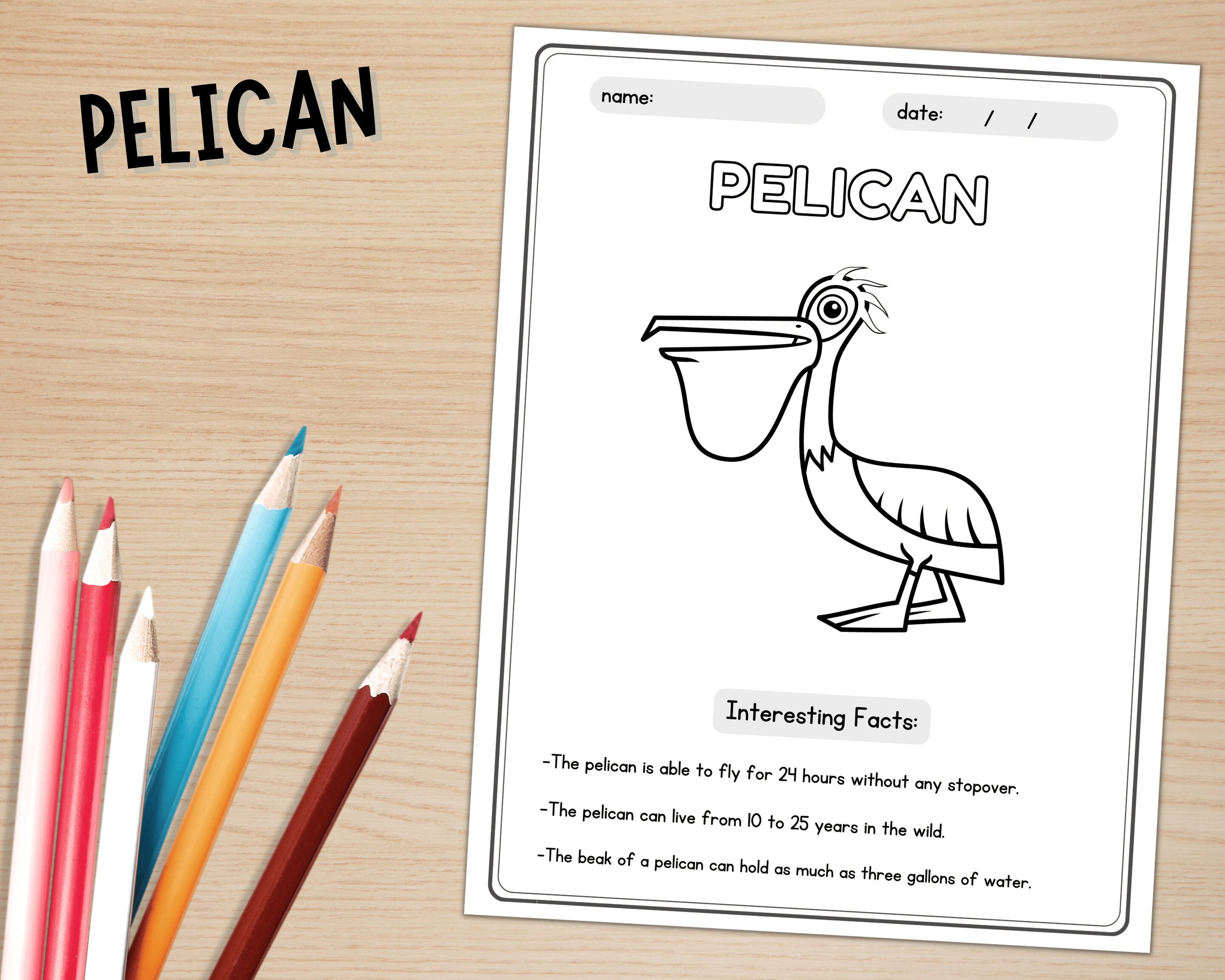 Printable Birds Coloring Pages With Interesting Facts, Flying Animals ...