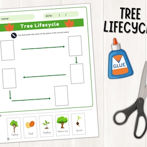 Parts of a Tree Labeling Activity | Tree Life Cycle Worksheet | Tree ...