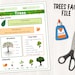 Parts of a Tree Labeling Activity Tree Life Cycle Worksheet Tree Fact ...