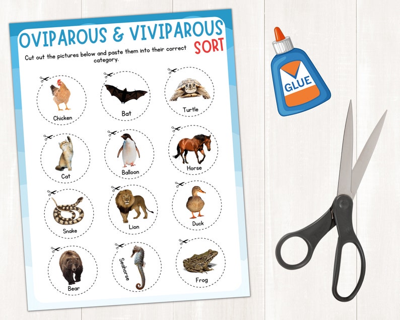 Oviparous and Viviparous Animal Sorting Activity | Real Pictures | Cut ...