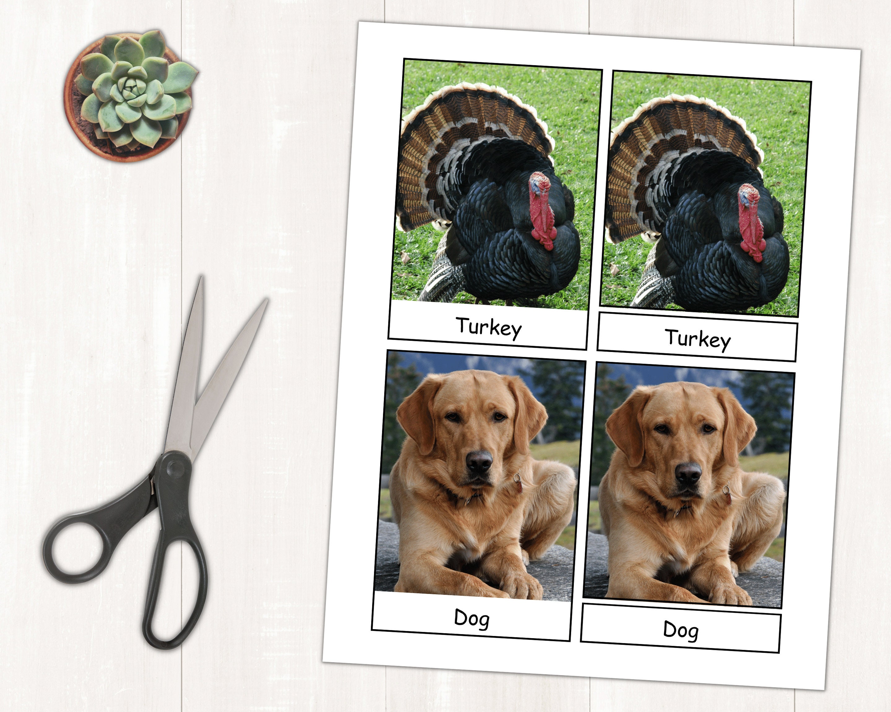 Farm Animals Montessori 3-part Cards | Farm Animal Flashcards With Real ...