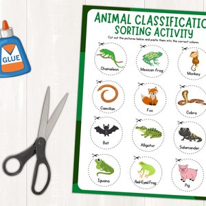 Animal Classification Sort: Mammals, Reptiles, and Amphibians | Sort ...
