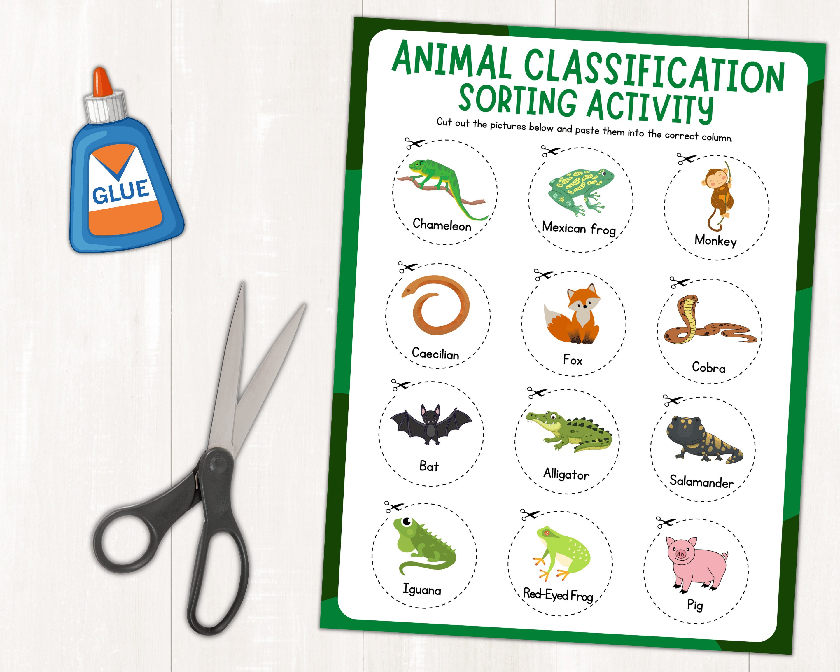 Animal Classification Sort: Mammals, Reptiles, and Amphibians | Sort ...