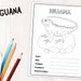 Printable Wild Animals Coloring Pages for Kids, Wild Animals Research ...