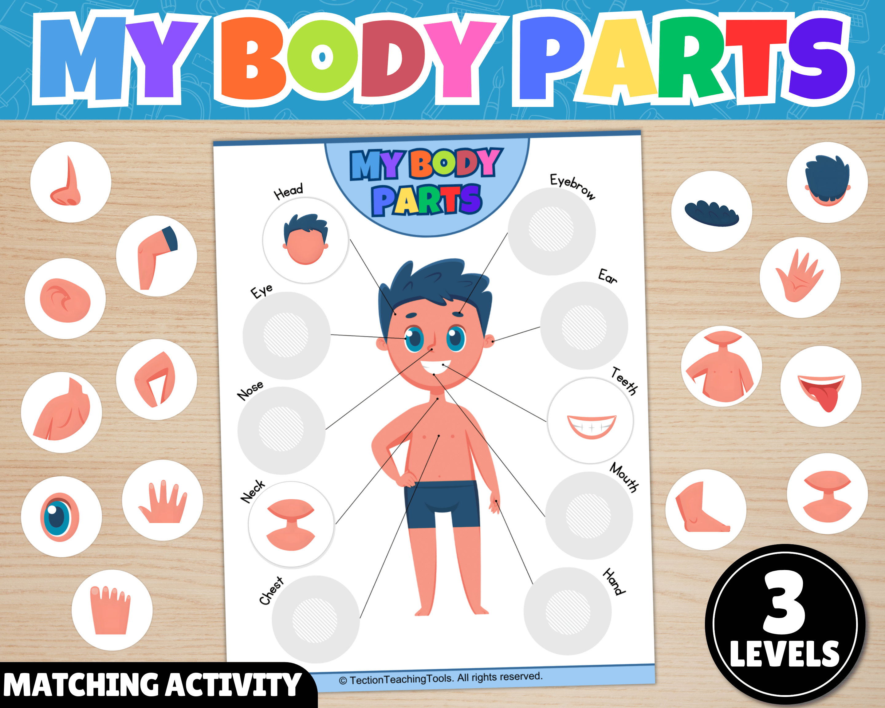 Body Parts Matching Activity | Preschool Activity | Parts of the Body ...